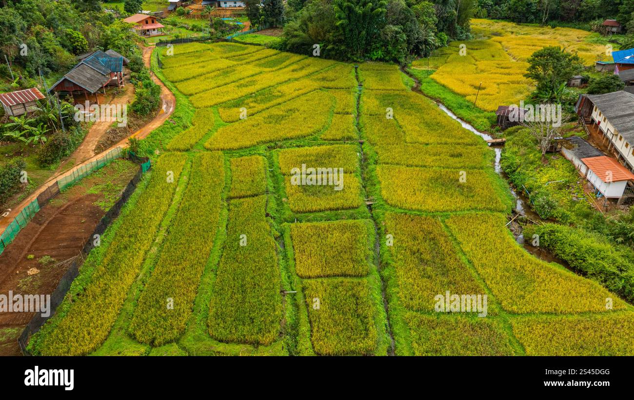Aerial view of The entrance to Pang Ung Dam has rice terraces along the ...