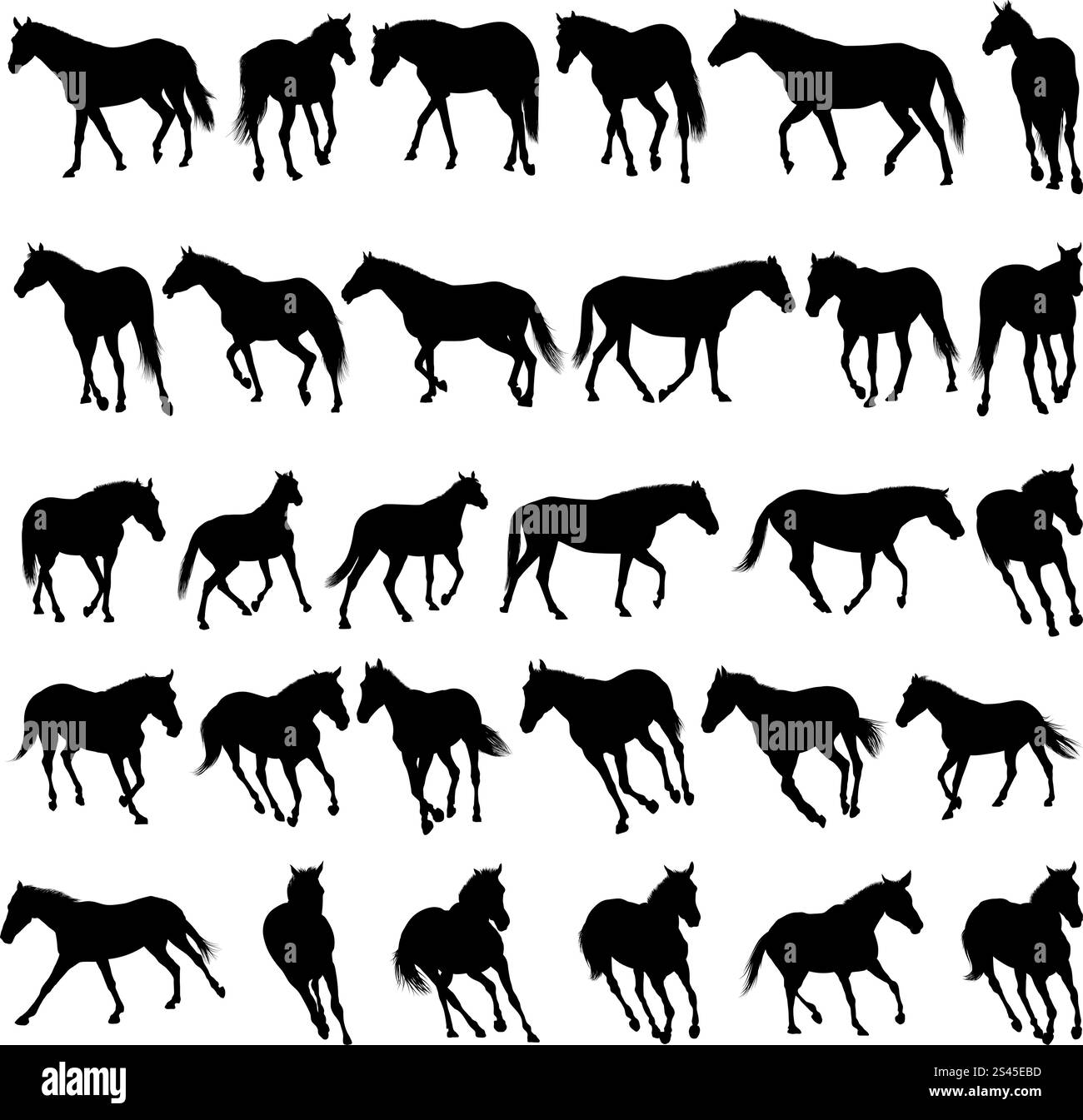 Big vector collection of different horses silhouettes Stock Vector ...