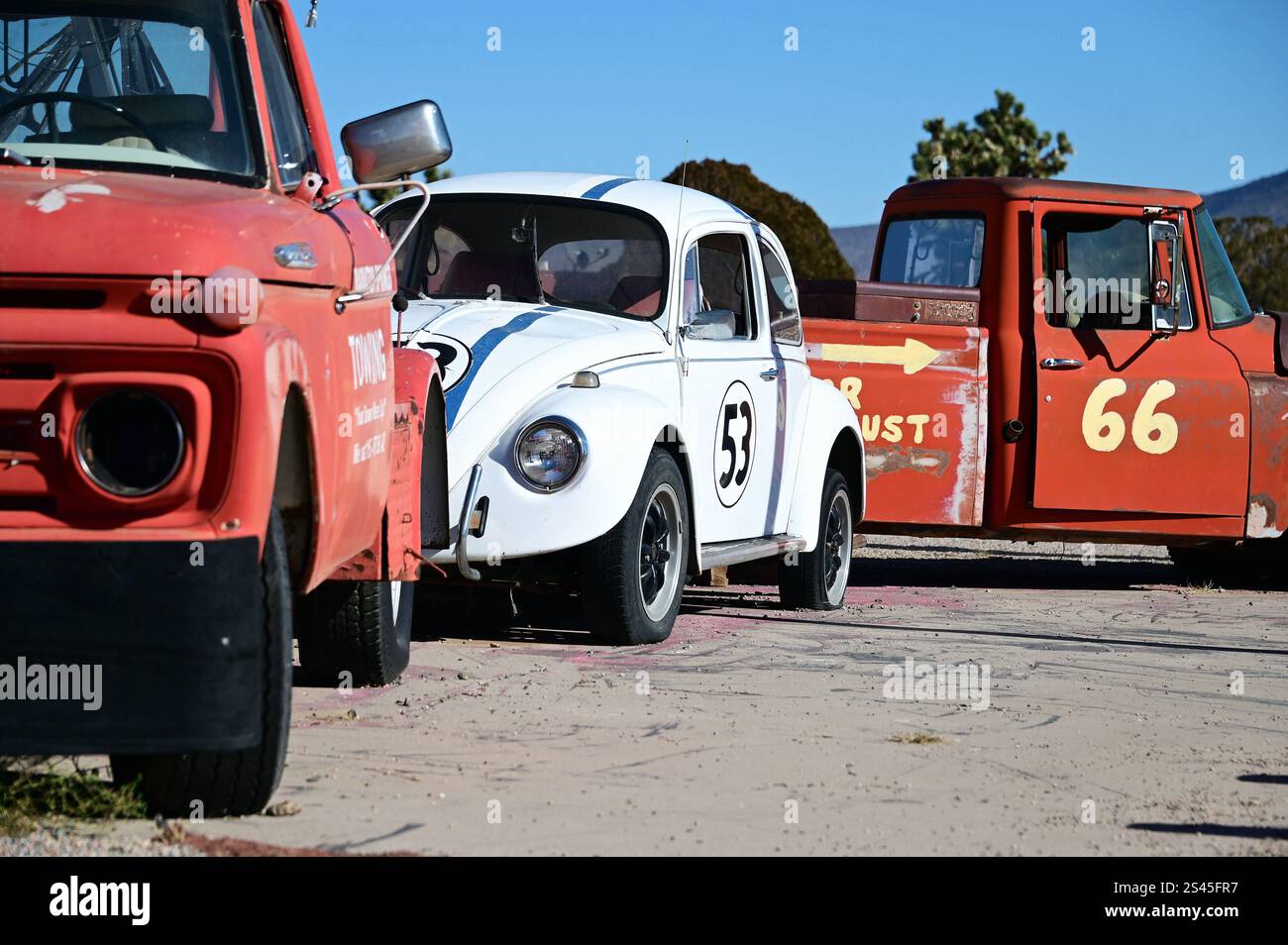 Classic cars in front of Giganticus Headicus Store on Route 66, Arizona ...