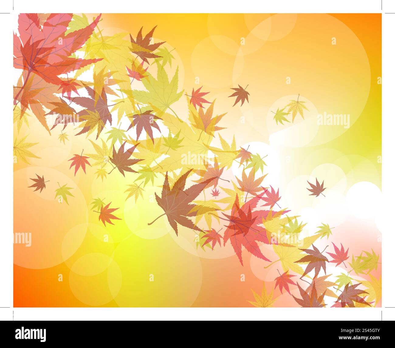 Autumn maples falling leaves background. Vector illustration Stock ...