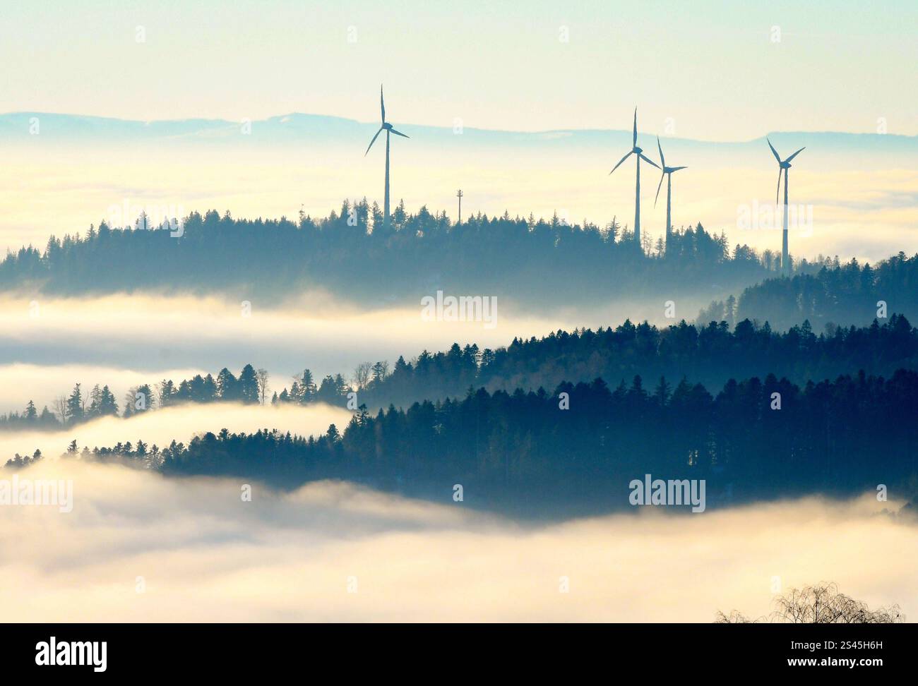 Blick ueber das Rheintal von St. Peter im Schwarzwald. Aus dem ...