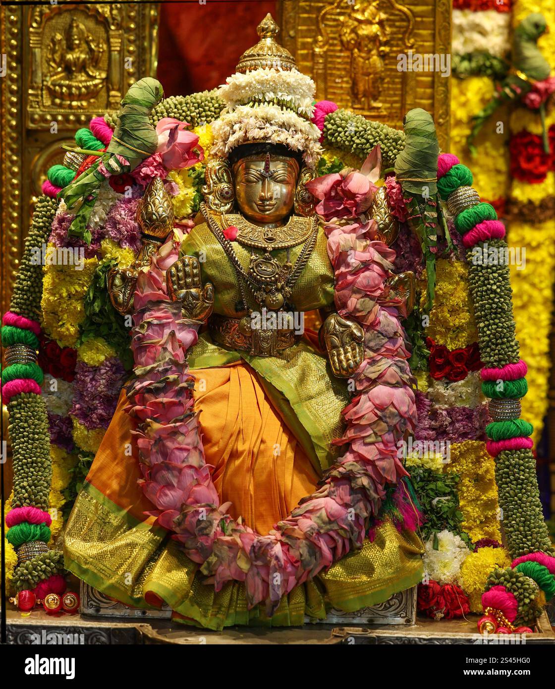 Tirumala festival hi-res stock photography and images - Alamy