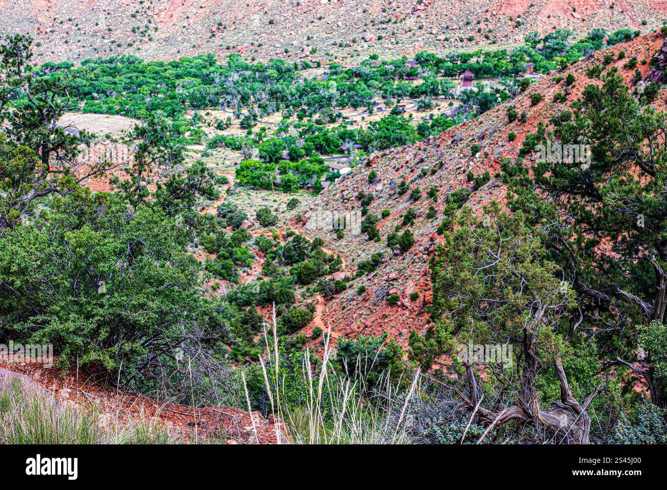 Rugged landscape of Zion Nation Park seen from The Watchman Trail Stock ...