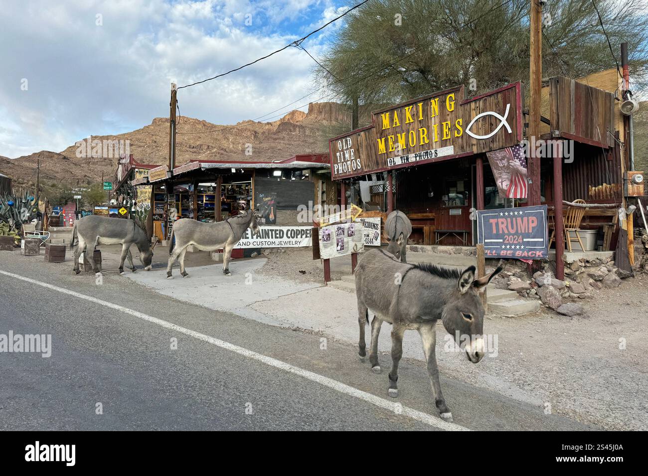 Former gold mining town Oatman with free-range donkeys on the Route 66 ...