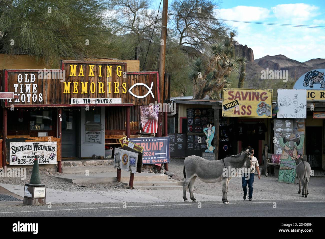 Former gold mining town Oatman with free-range donkeys on the Route 66 ...