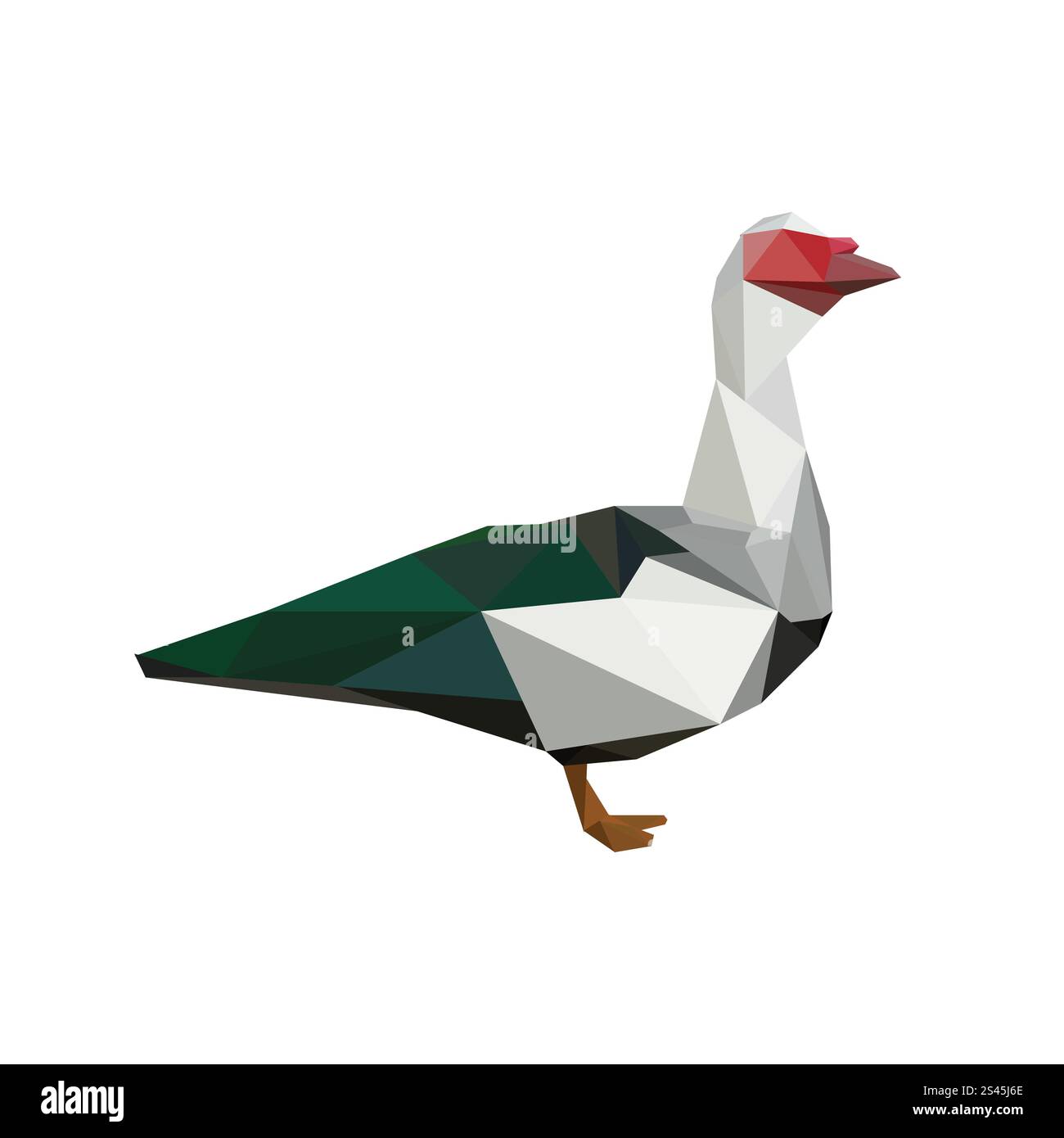 Illustration of origami muscovy duck isolated on white background Stock ...