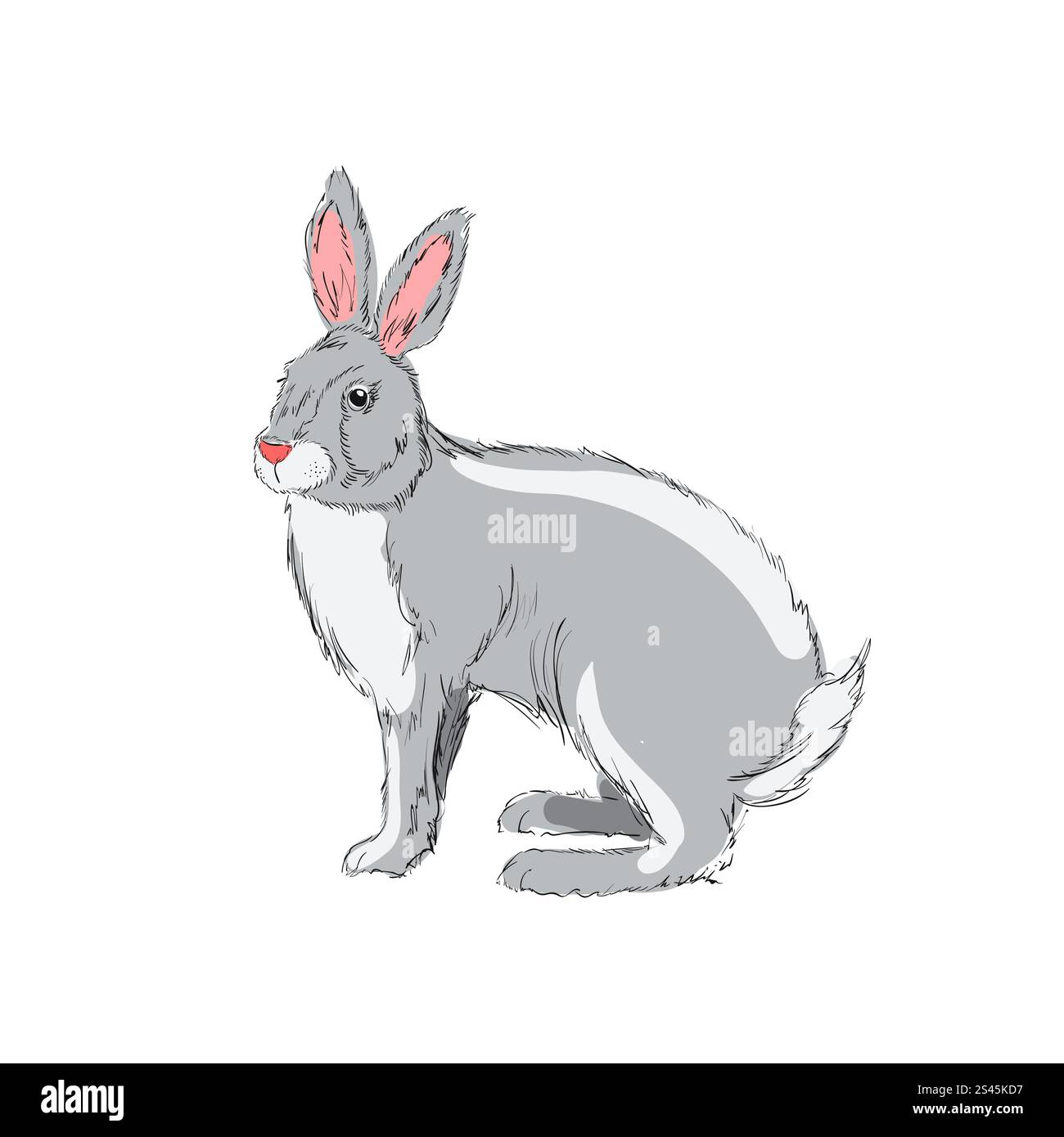 Illustration of hand drawn rabbit isolated on white background Stock ...