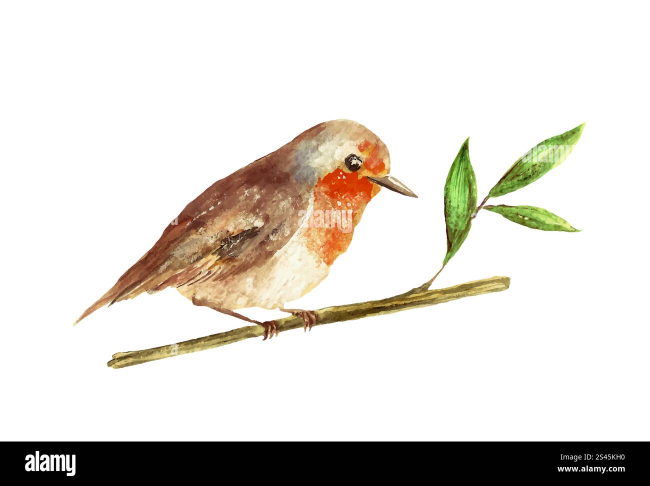 Hand drawn christmas robin Stock Vector Images - Alamy