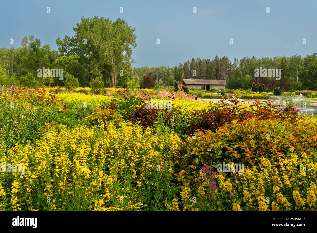 Flowers in the Sunken Gardens at the International Peace Gardens on the ...