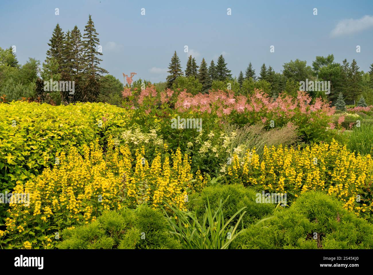 Flowers in the Sunken Gardens at the International Peace Gardens on the ...