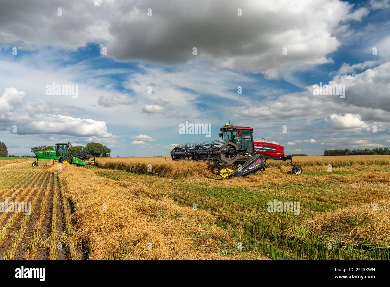 Swathing an oats field near Myrtle, Manitoba, Canada Stock Photo - Alamy