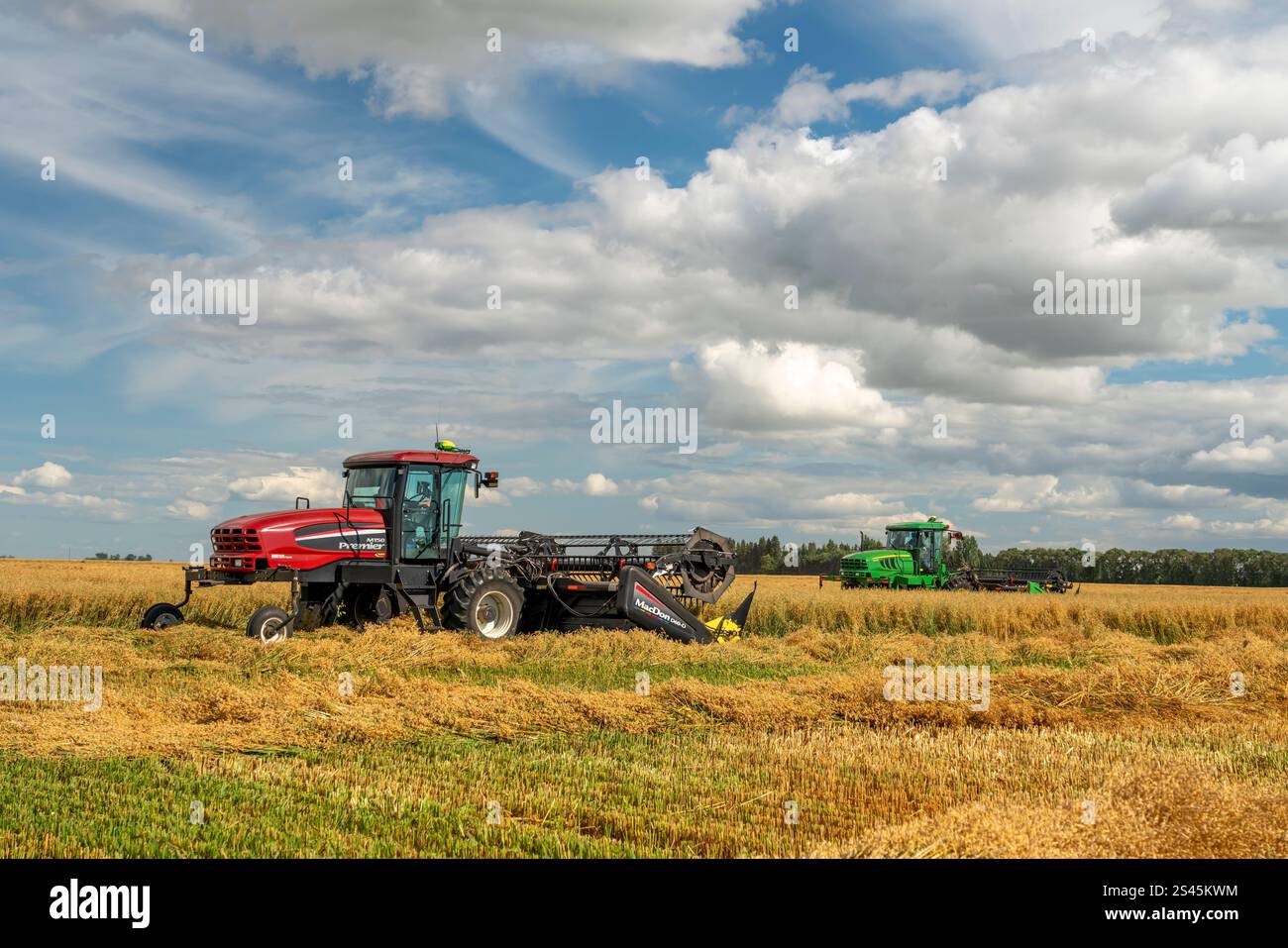 Swathing an oats field near Myrtle, Manitoba, Canada Stock Photo - Alamy