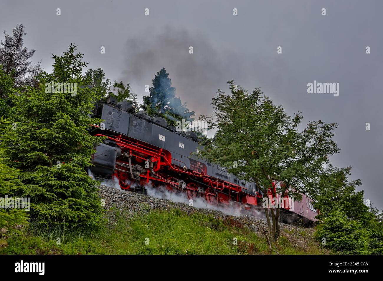 Impressionen Bilder aus dem Nationalpark Harz Brockenbahn Stock Photo ...