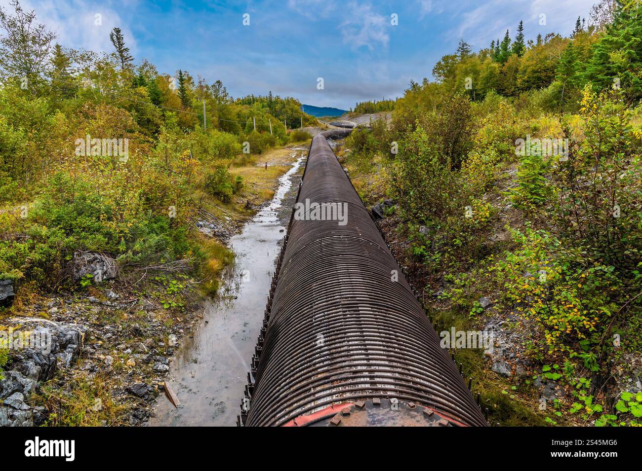 A view along the length of a wooden-stave water pipe above Corner Brook ...