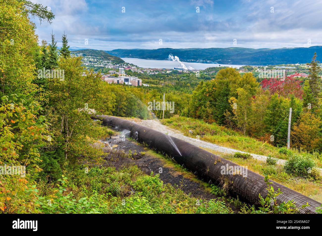 A view past a leaking wooden-stave water pipe above Corner Brook in ...