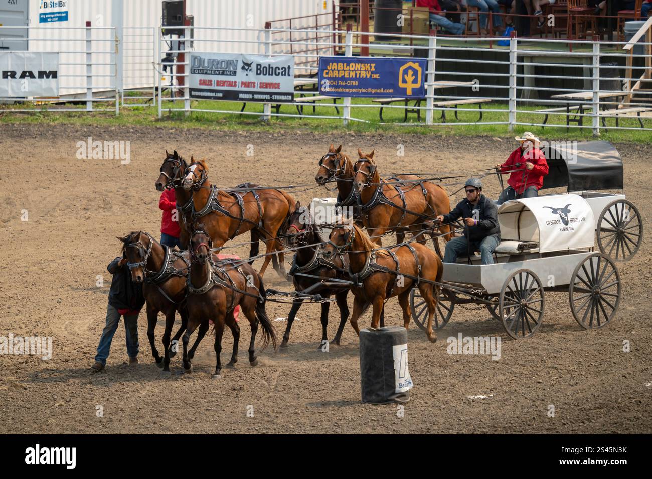Chuck wagon racing at the Manitoba Stampede in Morris, Manitoba, Canada ...