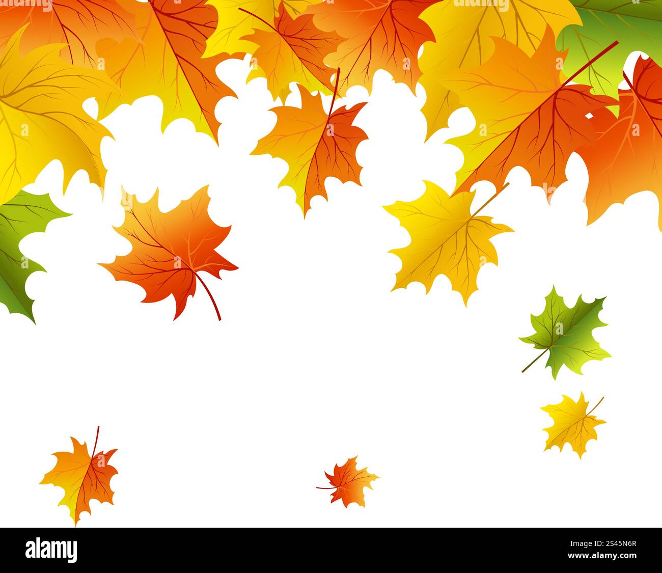 Autumn maples falling leaves background. Vector illustration Stock ...