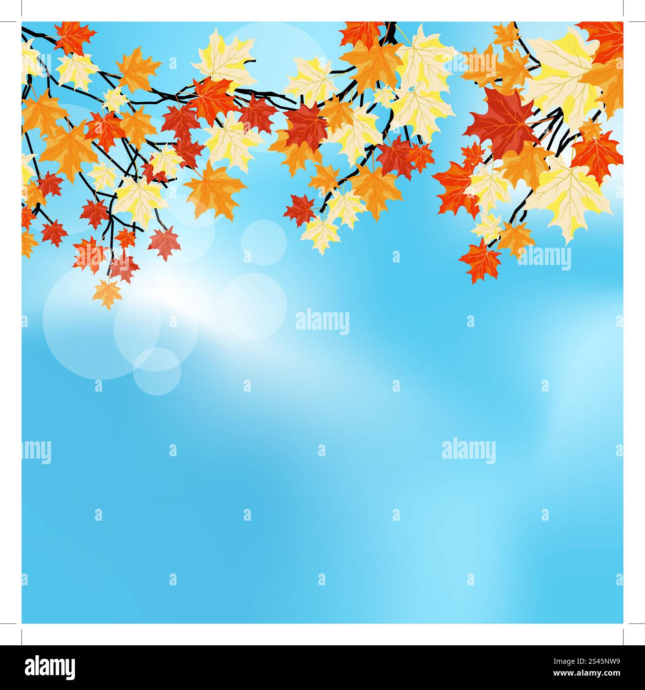 Autumn maples falling leaves background. Vector illustration Stock ...