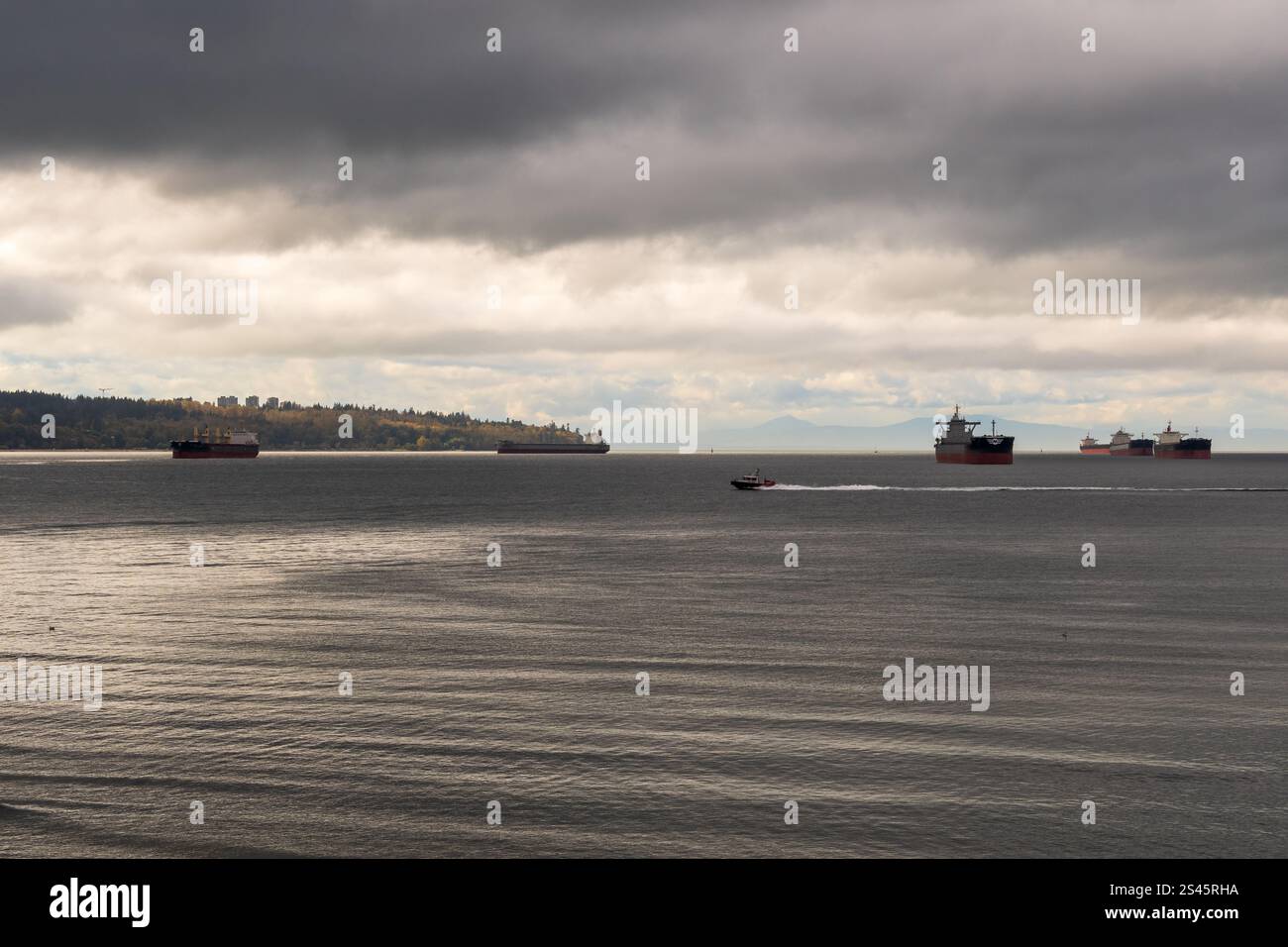 Cargo ships anchored in bay with boat leaving near shore of Stanley ...