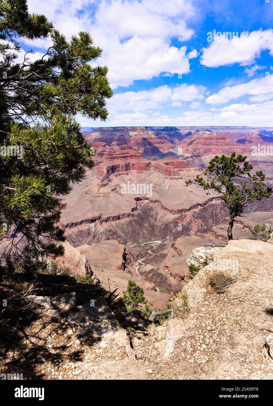 Grand canyon vertical panorama landscape view with calorado river rapid ...