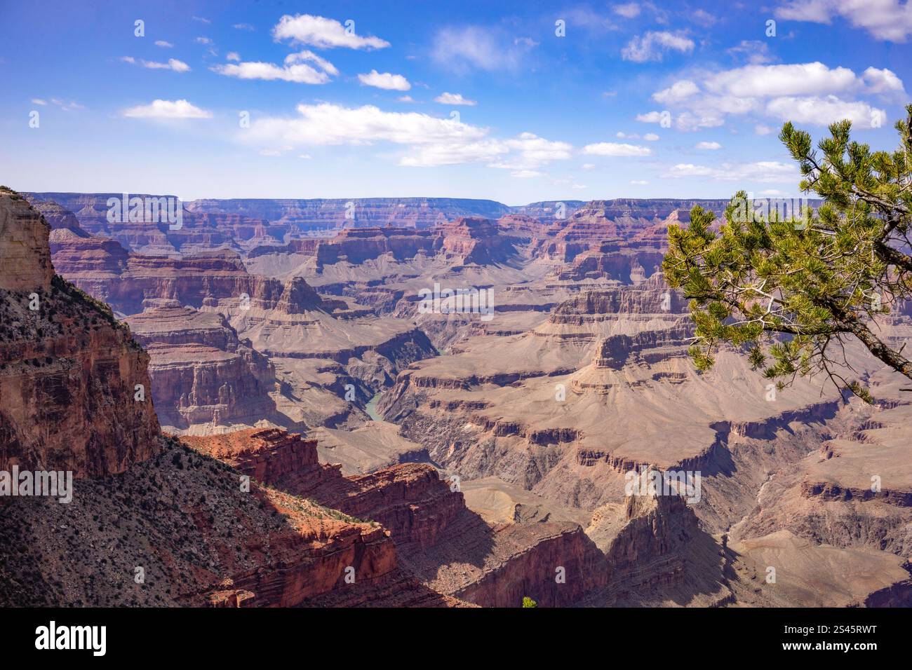 Grand canyon panorama landscape view with calorado river Arizona, USA ...