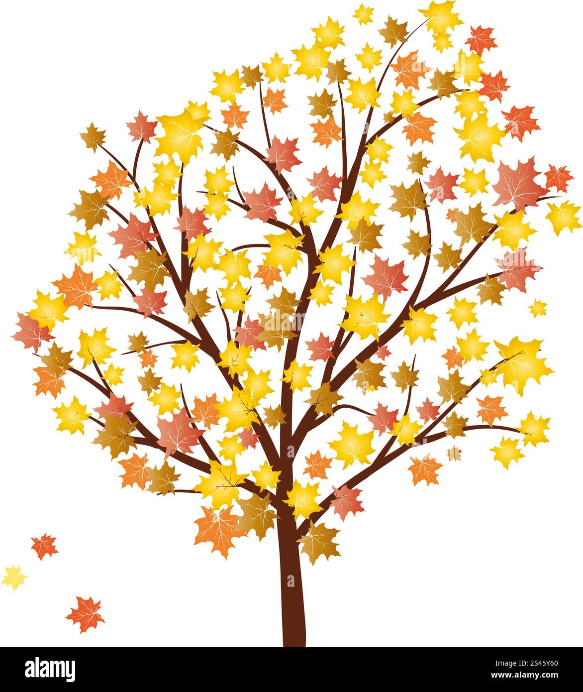 Autumn maples tree with falling leaves. Vector illustration Stock ...
