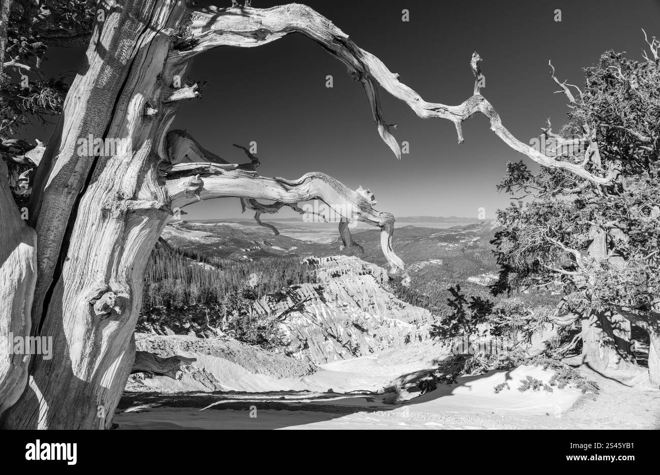 Park spectra Black and White Stock Photos & Images - Alamy