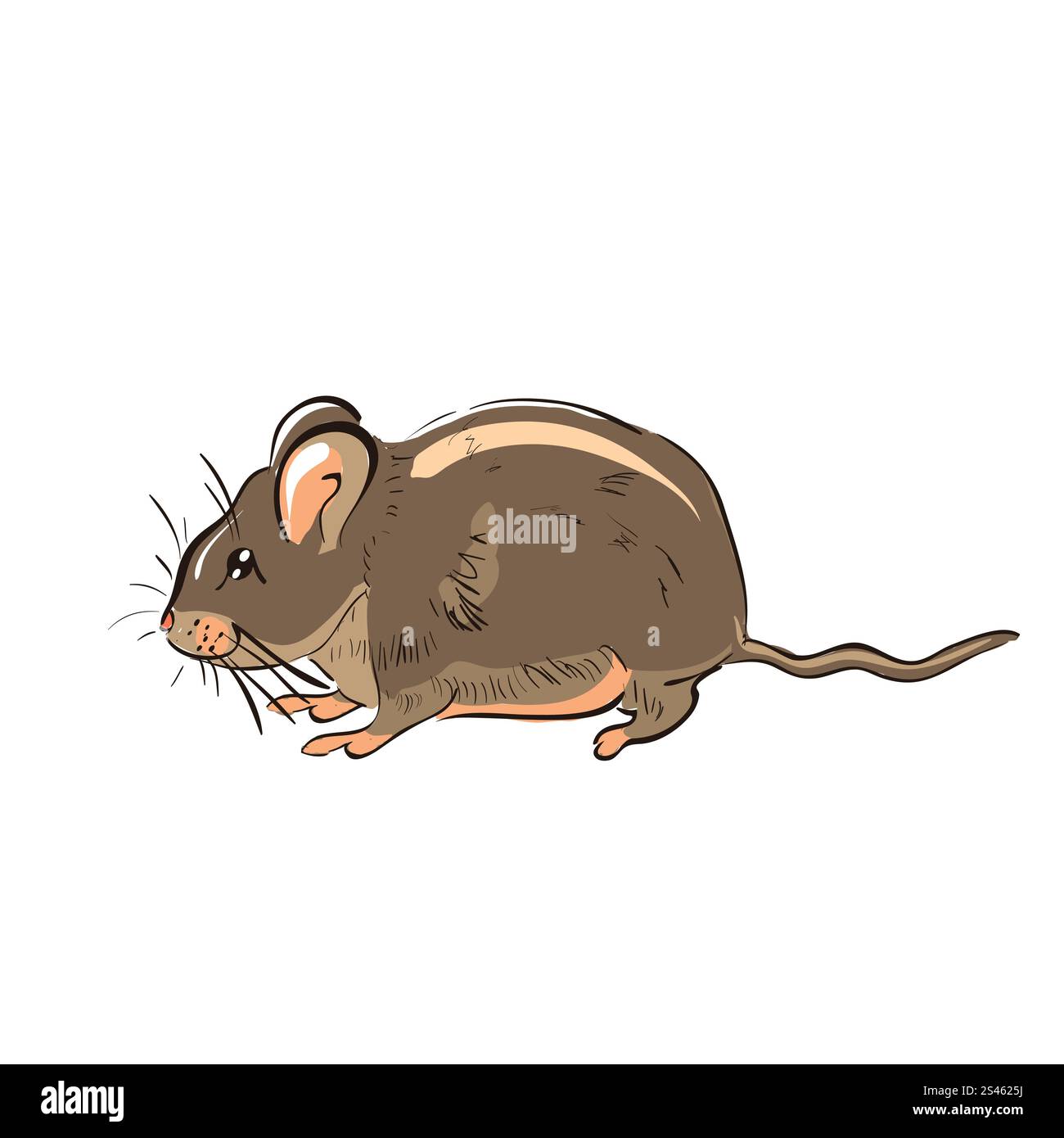 Illustration of hand drawn funny rat Stock Vector Image & Art - Alamy