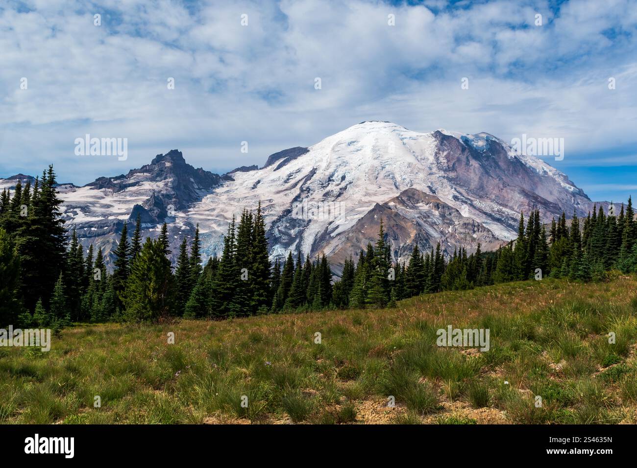 The iconic glaciated peak of Mt. Rainier as seen in Mt. Rainier ...