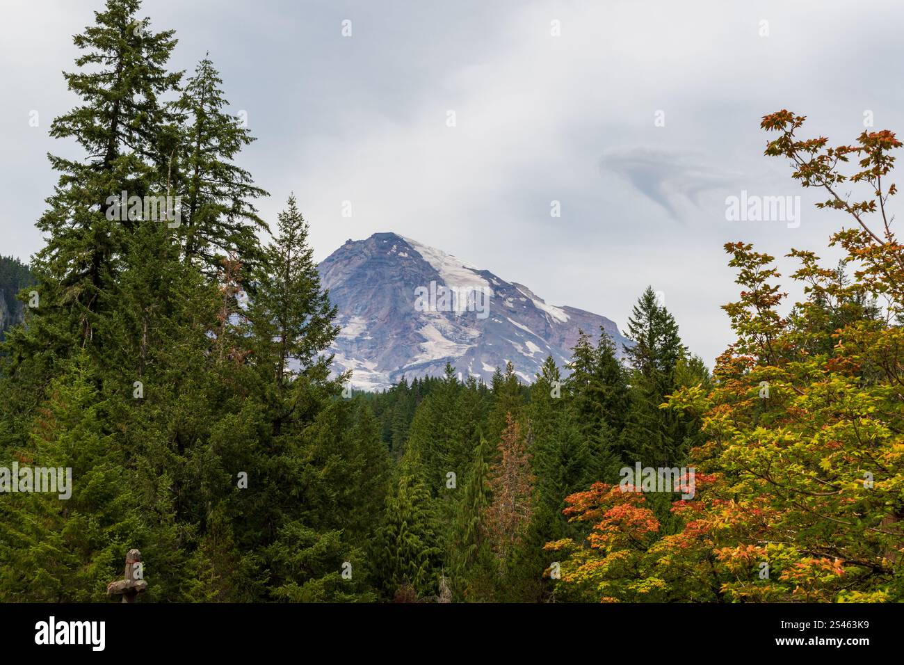 The iconic glaciated peak of Mt. Rainier as seen in Mt. Rainier ...