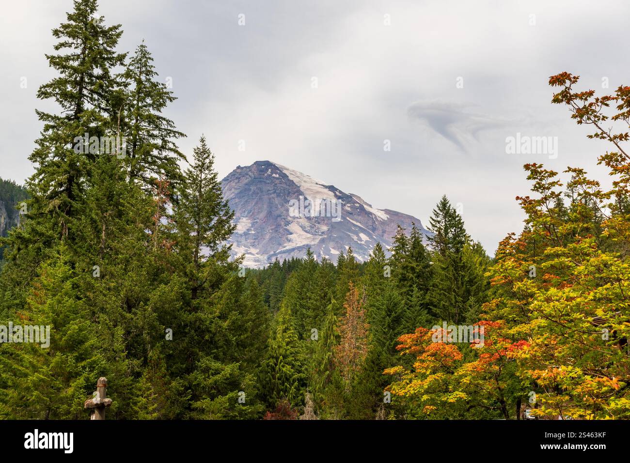 The iconic glaciated peak of Mt. Rainier as seen in Mt. Rainier ...