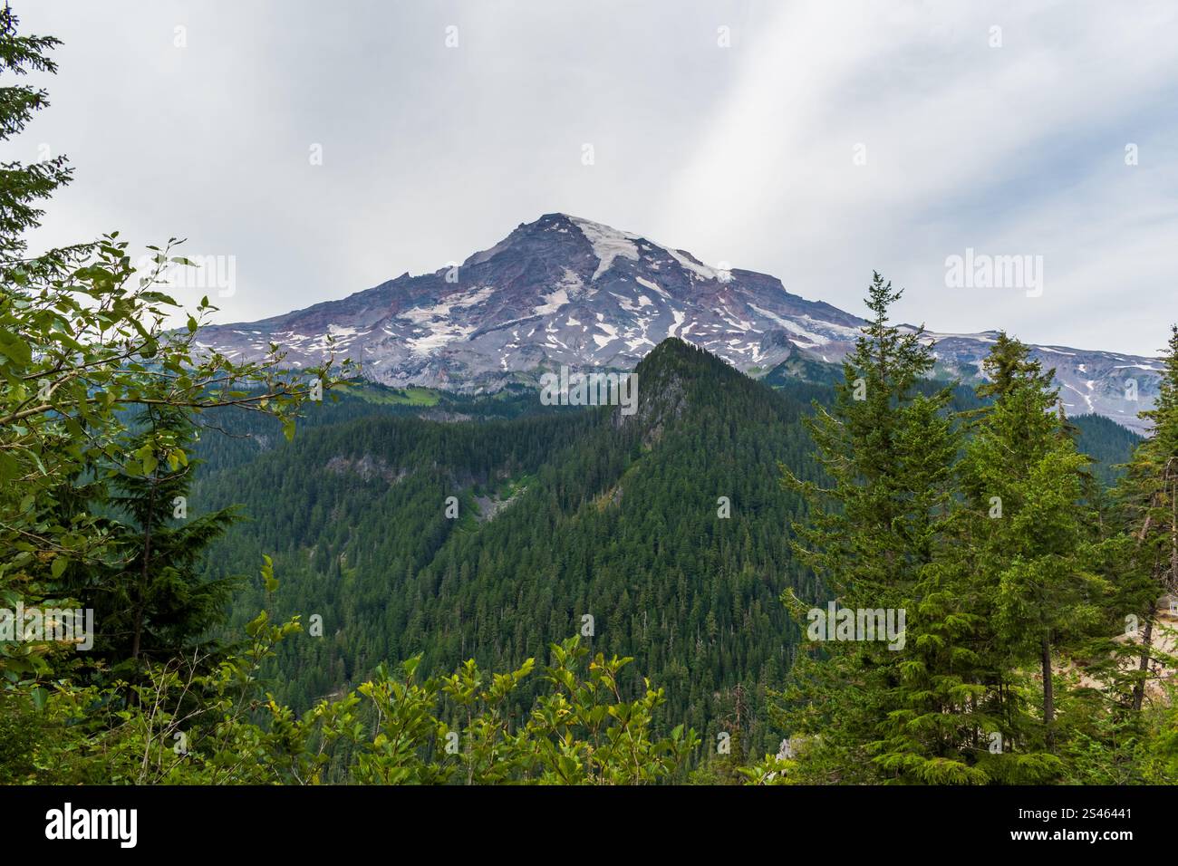 The iconic glaciated peak of Mt. Rainier as seen in Mt. Rainier ...