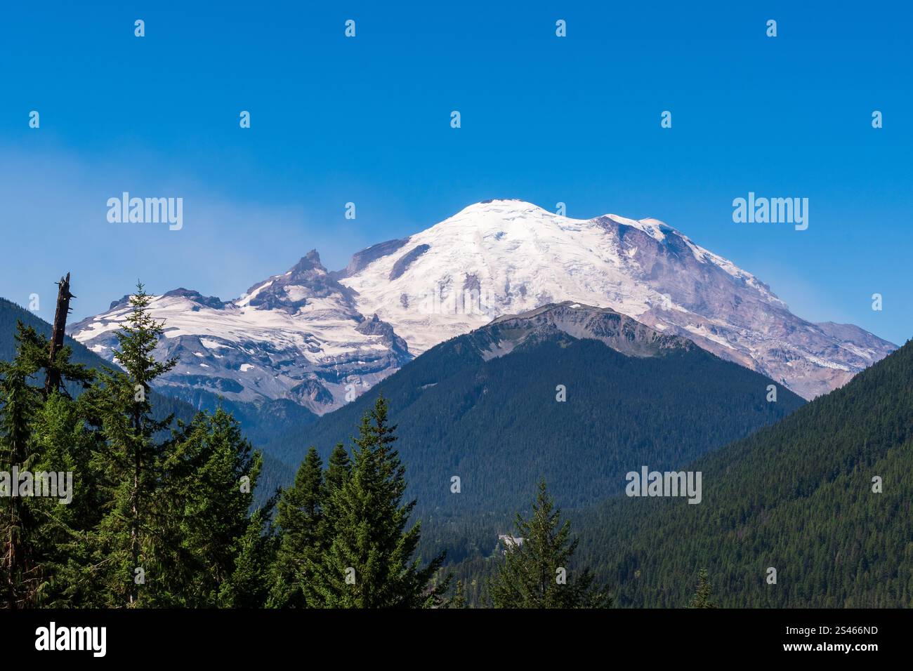 The iconic glaciated peak of Mt. Rainier as seen in Mt. Rainier ...