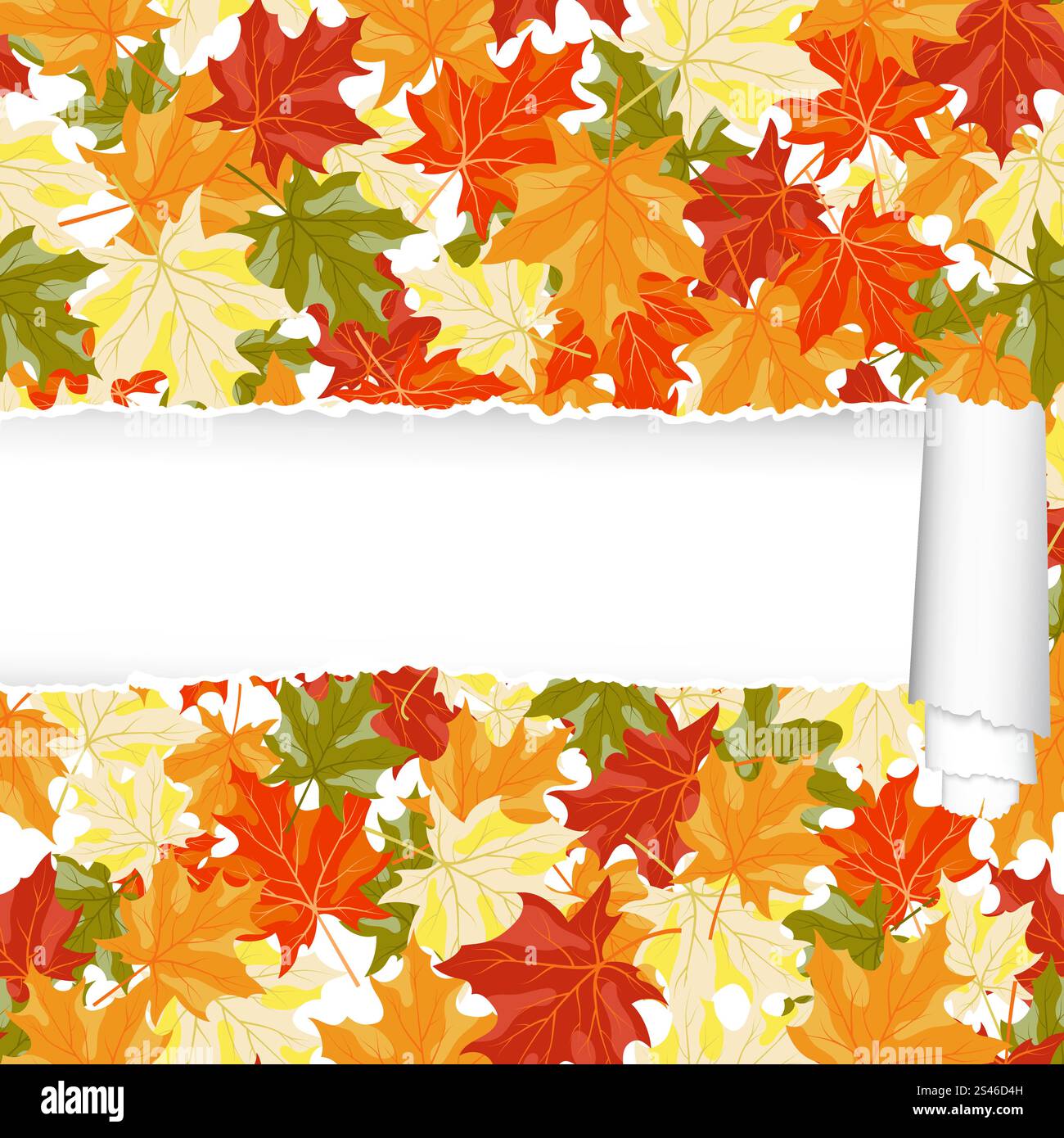 Autumn maple seamless pattern with ripped stripe. EPS 10 vector ...