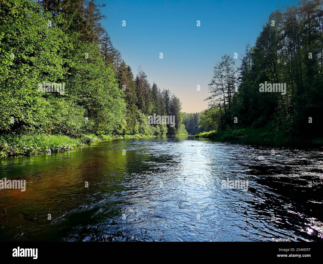 Exploring the Remote Beauty of the Upper Volga River in Russia Stock ...