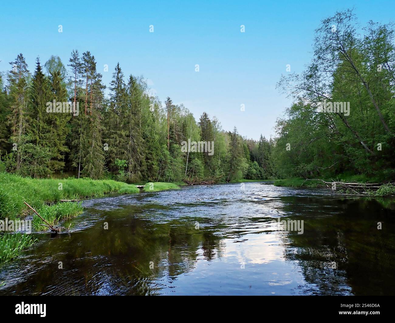 Exploring the Remote Beauty of the Upper Volga River in Russia Stock ...