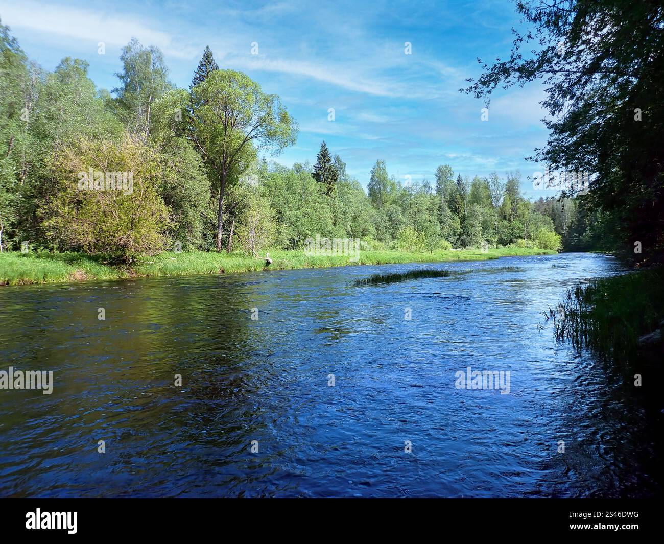 Exploring the Remote Beauty of the Upper Volga River in Russia Stock ...