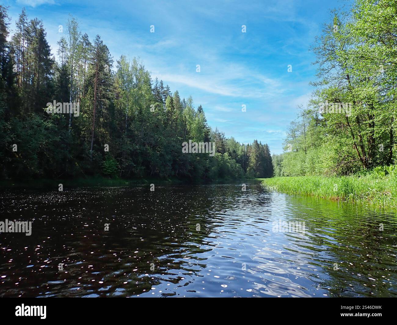 Exploring the Remote Beauty of the Upper Volga River in Russia Stock ...