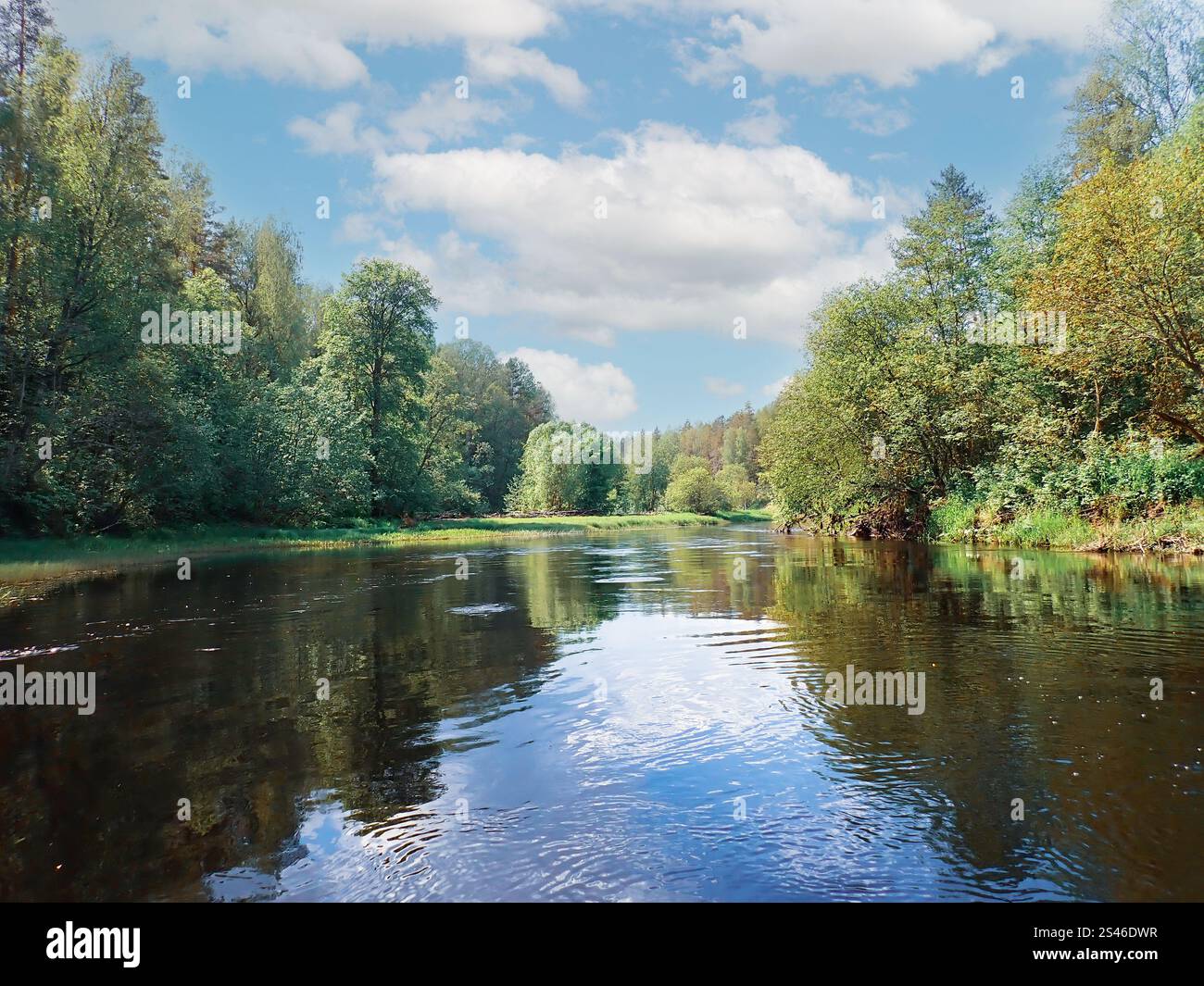 Exploring the Remote Beauty of the Upper Volga River in Russia Stock ...