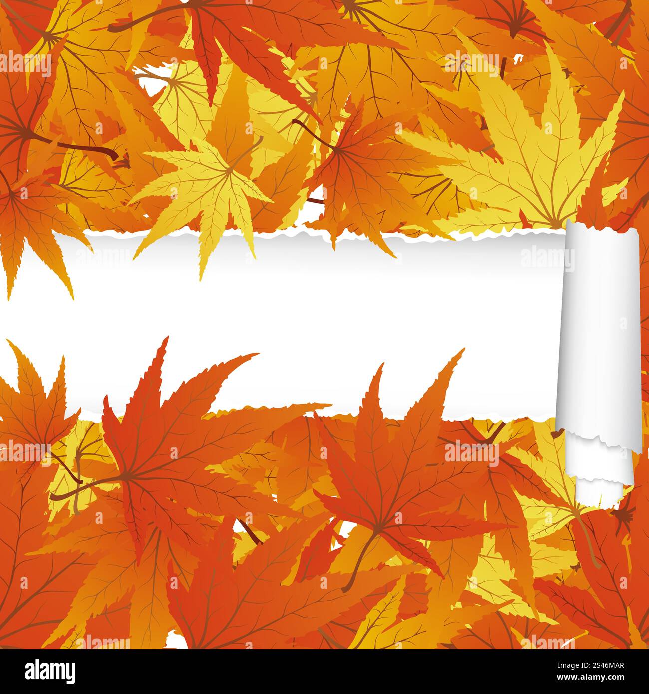 Autumn maple seamless pattern with ripped stripe. EPS 10 vector ...