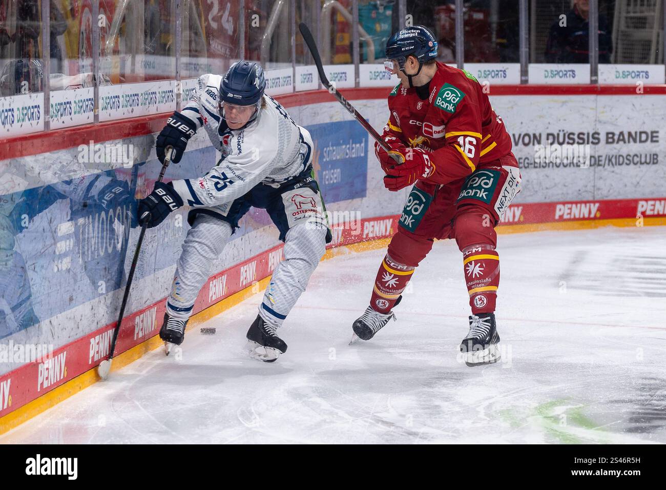 Elis Hede (Straubing Tigers, #75) gegen Kyle Cumiskey (Duesseldorfer EG ...