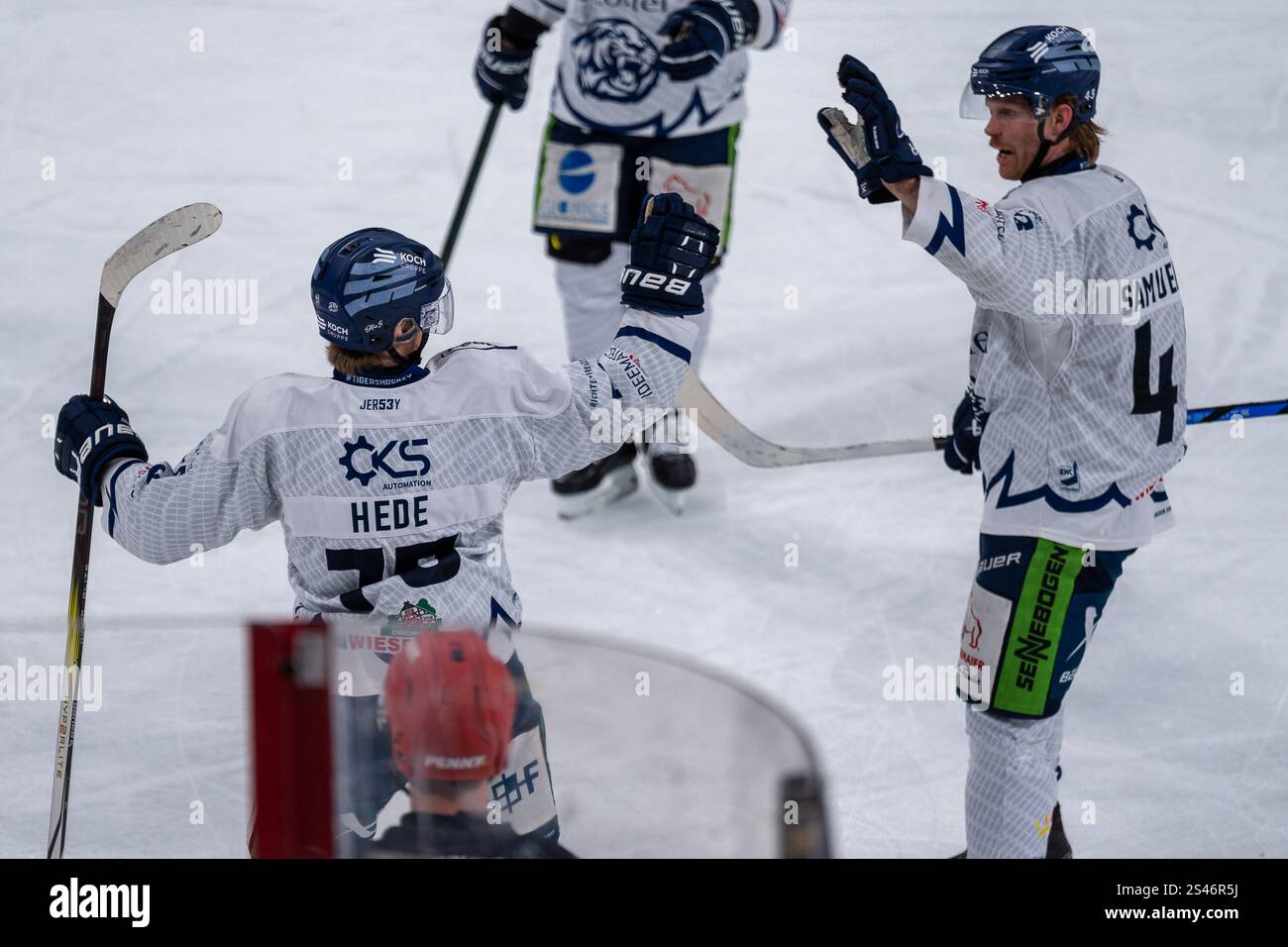 Elis Hede (Straubing Tigers, #75) und Philip Samuelsson (Straubing ...