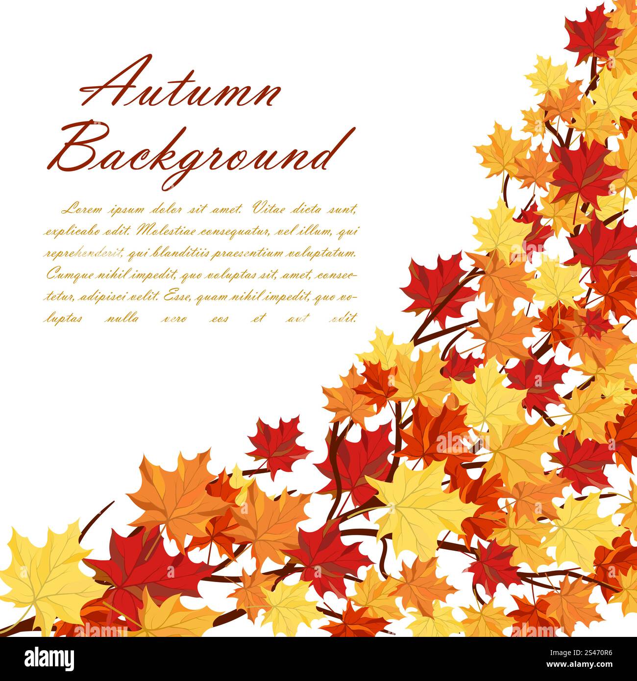 Autumn Frame With Maple Leaves on Branches of Tree Over White ...