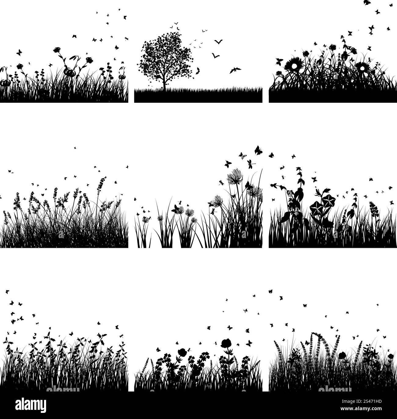 Green grass field chamomile Black and White Stock Photos & Images - Alamy