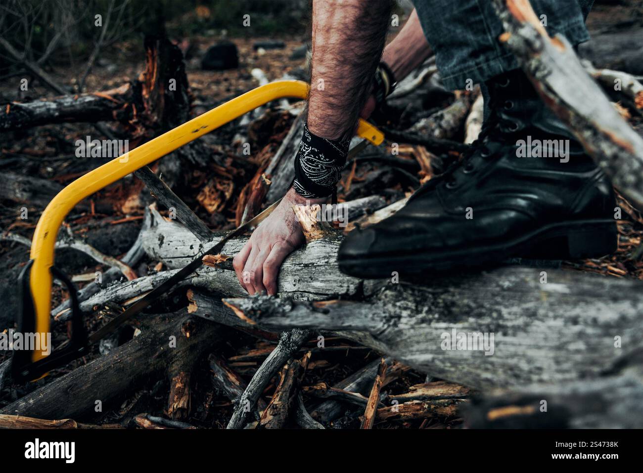 Human hands sawing wood tree hi-res stock photography and images - Alamy