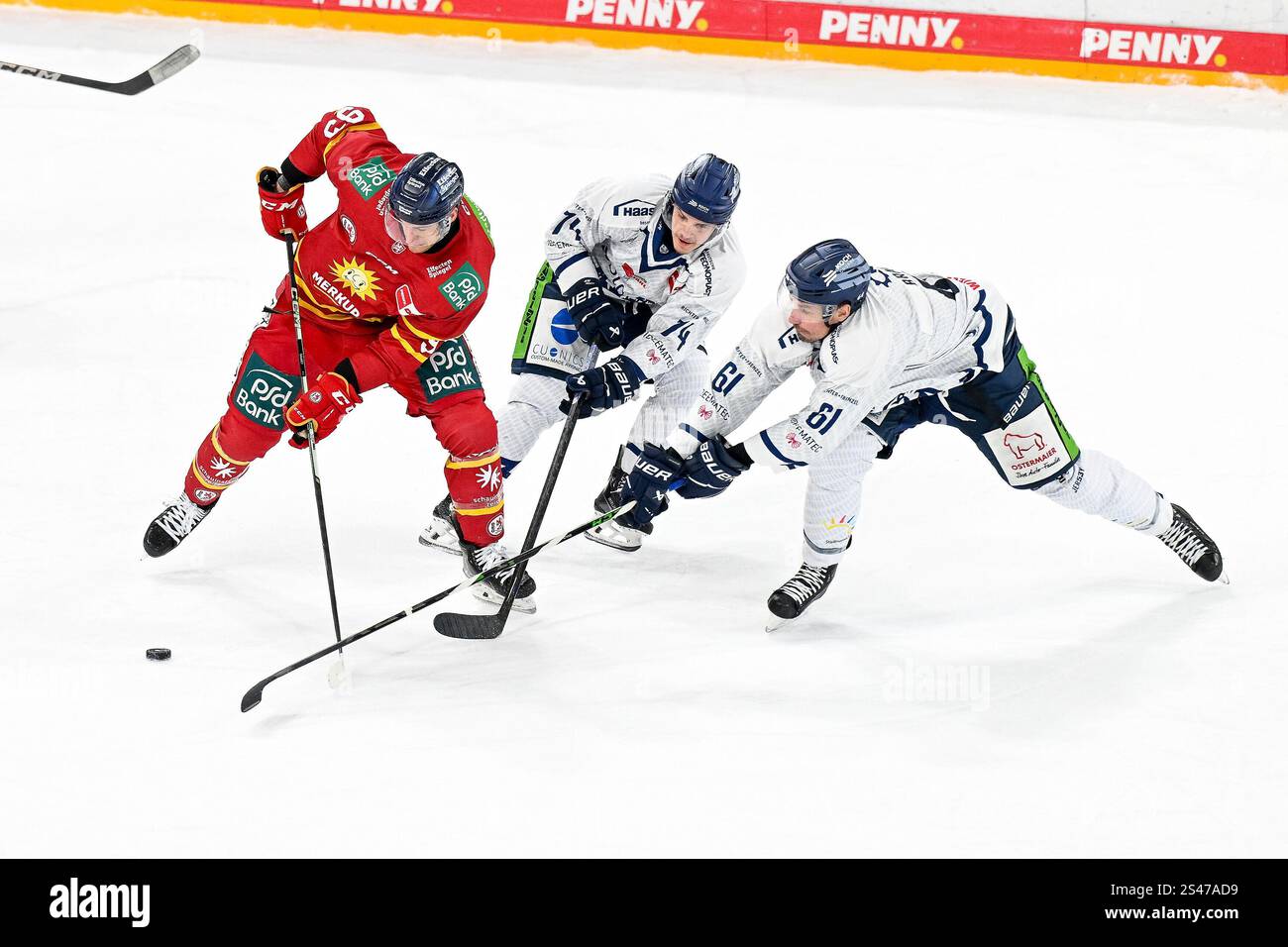 Eishockey DEL - 24/25 - 35. Spieltag: Düsseldorfer EG vs Straubing ...