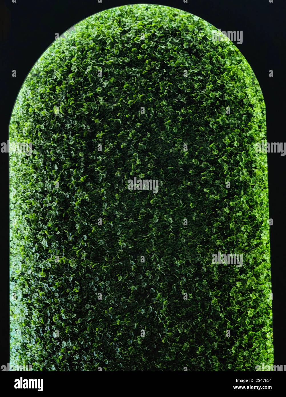 Modern Arch Frame Decoration with Artificial Grass Interior Stock Photo ...