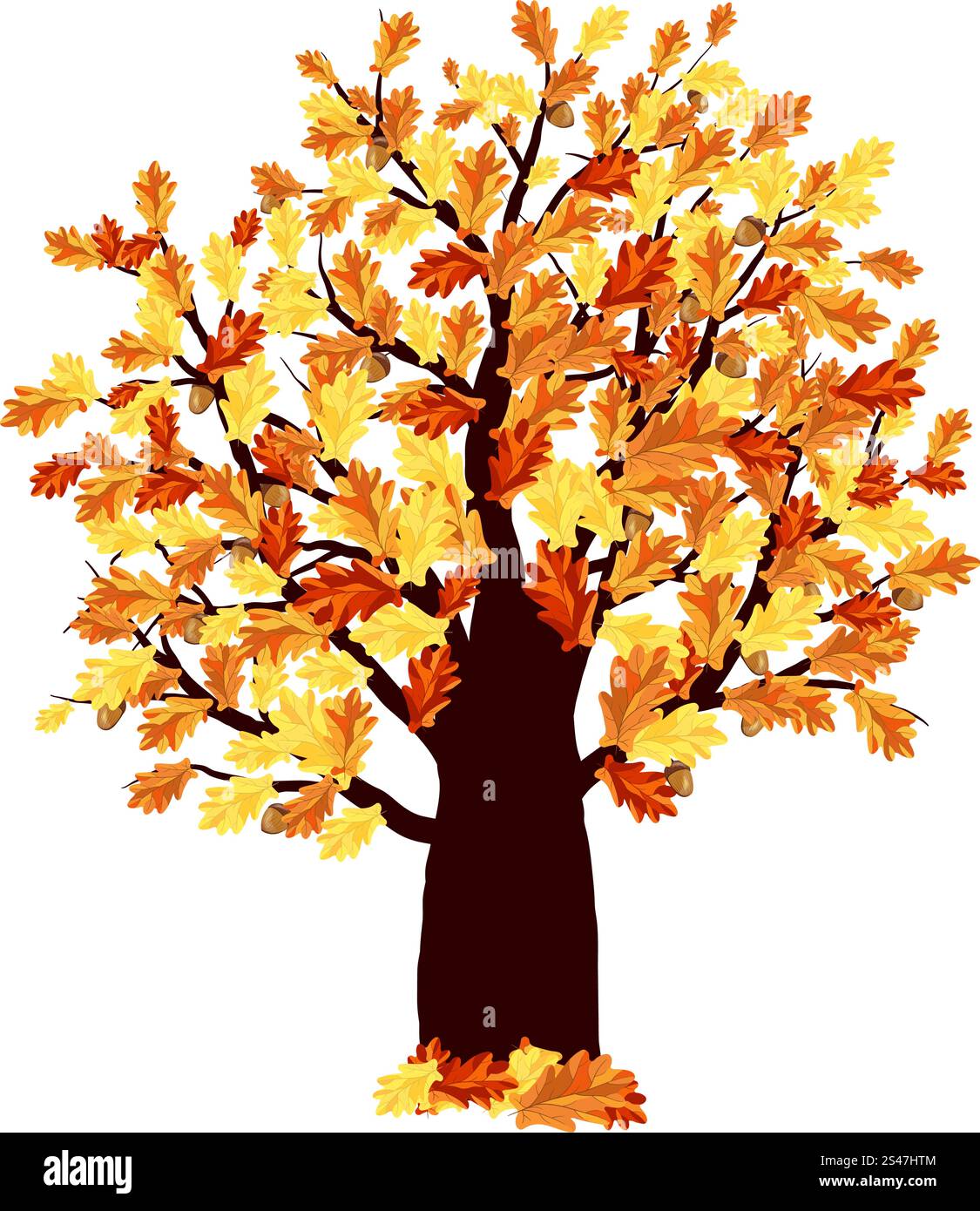Autumn Oak Tree With Color Leaves on White Background. Elegant Design ...