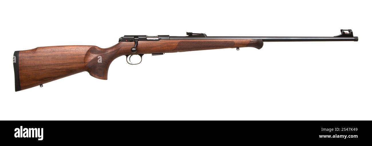 .22lr caliber small-bore rifle with a wooden stock and black barrel ...