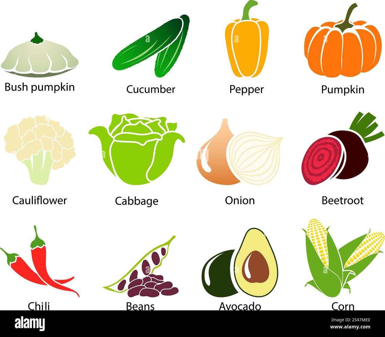 Set of cute vegetable icons with title over white background. Vector ...